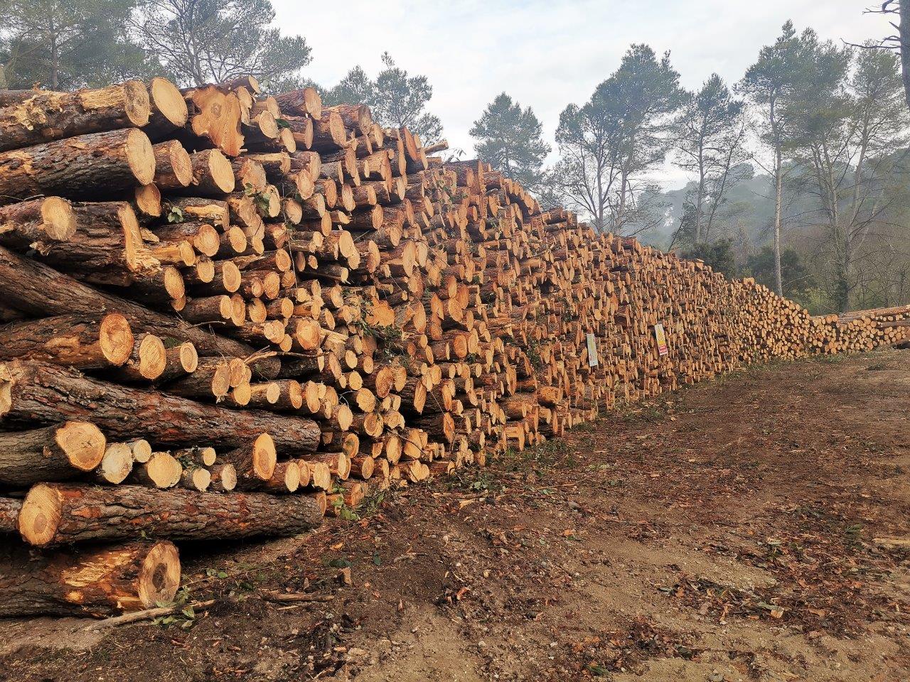 Le parking du Mas de Pommet interdit au stationnement du 15 février au ...